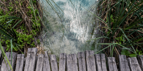 Xponance® Asset Management and Investment