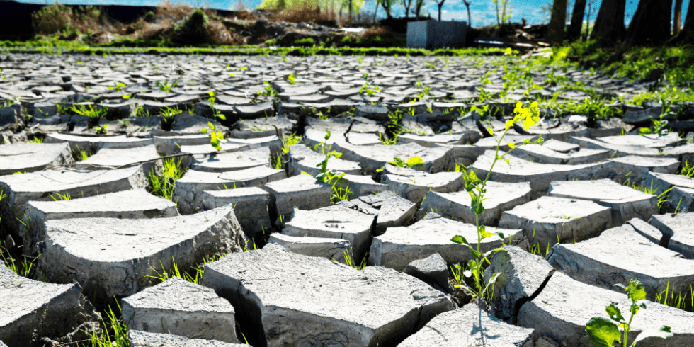 Xponance® Asset Management and Investment