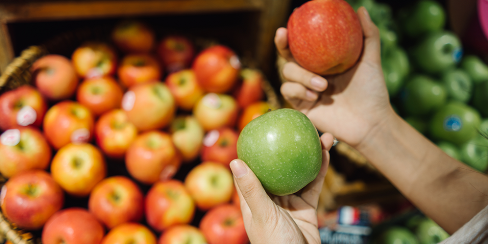 Xponance® Asset Management and Investment