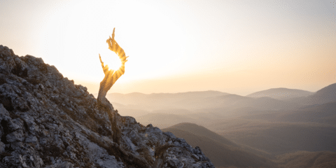 Xponance® Asset Management and Investment